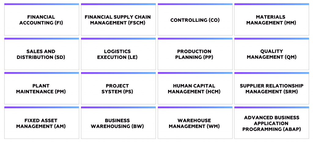 Discover the main SAP modules and their functions